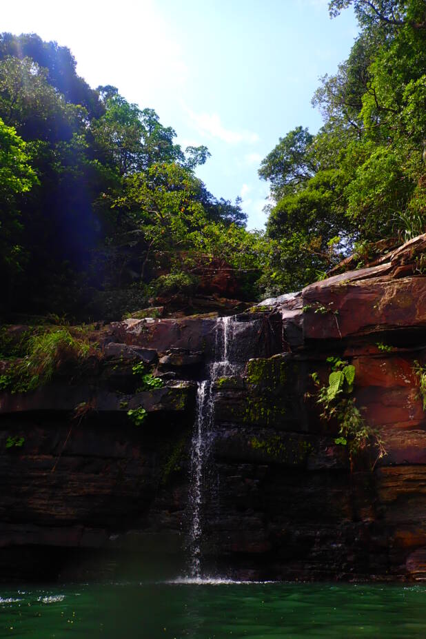 P5210050 - 西表島カヌートレッキング観光ツアー｜マリウド
